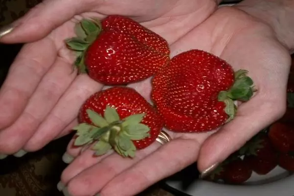 Karakteristisk for jordbær