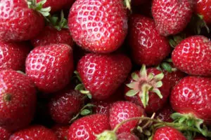 Maelezo na sifa za aina mbalimbali za strawberry Zenga zeen, sheria zinazoongezeka