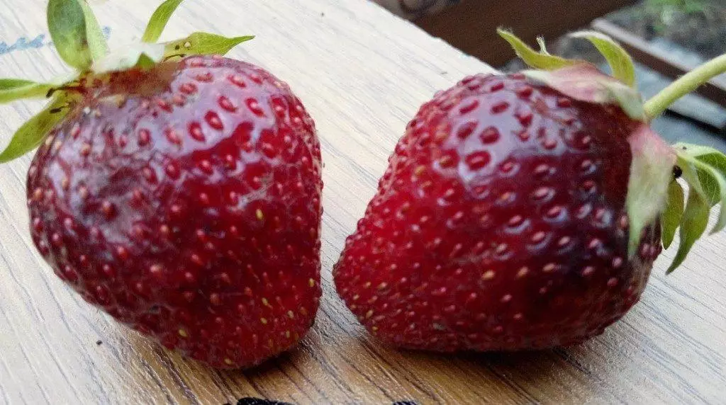 स्ट्रॉबेरी बोरोविटकेया