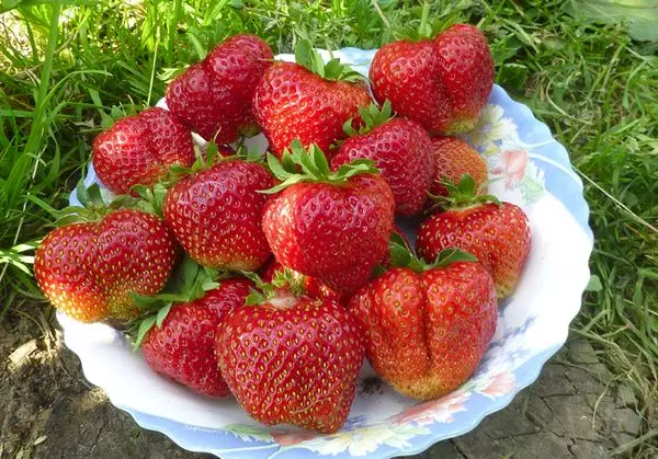 Isahani hamwe na strawberries