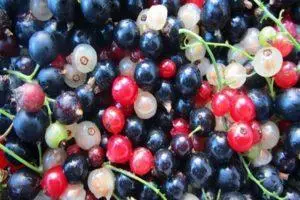 什麼葡萄乾對一個人更有用 - 紅色或黑色，更多的維生素