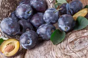Varför i plommon i frukterna av maskar och hur kan det hanteras