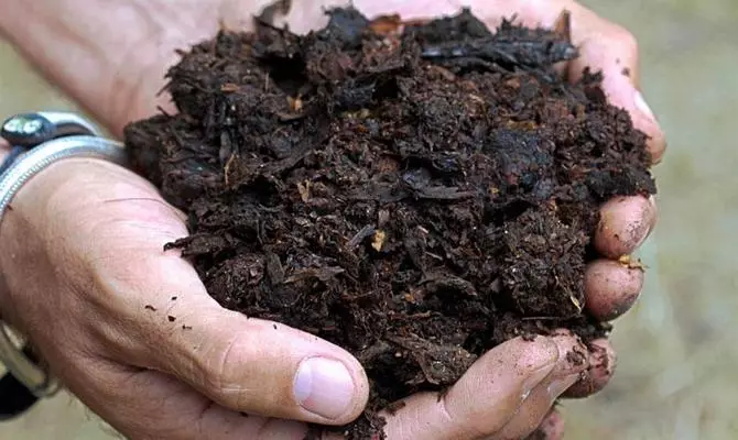 Demel bħala fertilizzant organiku