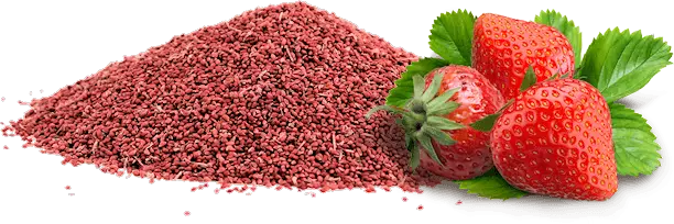 Mga Binhi sa Strawberry