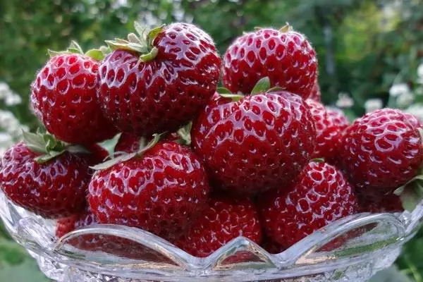 Strawberries i totonu o se ipu