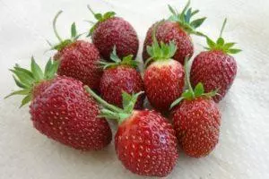 Katrangan lan ciri khas strawberry varietas maryshka, tuwuh lan reproduksi