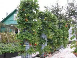 איך להכין מיטות אנכיות לגדול תותים לעשות את זה בעצמך