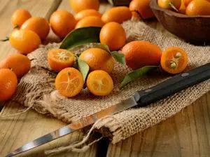 Hogyan kell tárolni a narancsot otthon és lehetséges időpontban