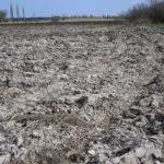Salinització del sòl: les principals causes i les zones són característiques, mètodes de lluita 13673_5