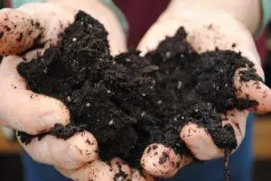 土壤微徵的組成及其研究方法，控制特徵
