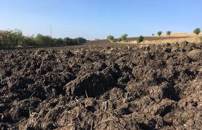 Plowed क्षेत्र