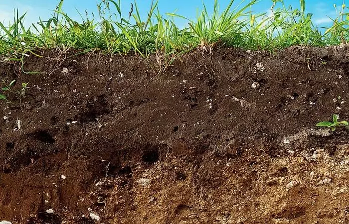 Fase tanah: Apa deskripsi 4 utama, pengaruh pada tanaman