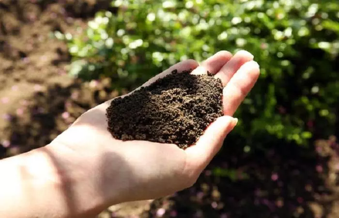 هل من الممكن إنشاء التربة الاصطناعية: الميزات، إيجابياتها وسلبيات