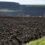 구역 유형 토양 : 특성 및 어떤 방향으로 변화가 발생하는지 13715_10