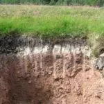帯状の種類の土壌：特徴と変化が発生する方向に 13715_5