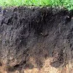 구역 유형 토양 : 특성 및 어떤 방향으로 변화가 발생하는지 13715_8