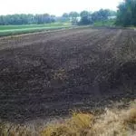 土壤的区域类型：特征和改变发生的方向 13715_9