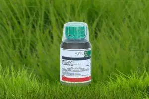 Instruksjoner for bruk og utgiftshastighet på herbicid Derby 175