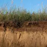 Ruskea maaperä: muodostumisen, koostumuksen ja ominaisuuksien ominaisuudet ja olosuhteet 13796_5