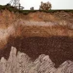 棕壤：形成，组成和性能的特征和条件 13796_7