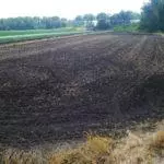 Meadow-Chernozem ดิน: ลักษณะและเงื่อนไขของการก่อตัวพืช