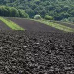 Meadow-Chernozem tlo: Karakteristike i uvjeti formiranja, vegetacije 13797_5