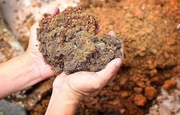 Lehmboden: Merkmale und Eigenschaften, wie man sie verbessert und es fruchtbar macht