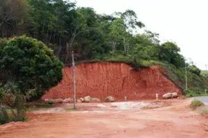 Raksturīgie augsnes veidi mitro ekvatoriālo mežu un funkciju zonā