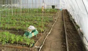 5 types of heating of soil in the greenhouse and how to organize the system with your own hands