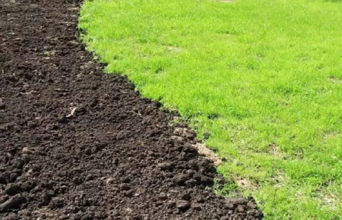 Żyzna warstwa gleby: grubość i przybliżona głębokość, zalety
