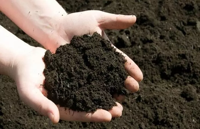 La propietat principal del sòl: des de la qual depèn i com es forma, una descripció de la qualitat principal