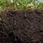 土壤的主要特性：它取决于它的形成方式，以及如何描述主要质量 13816_8