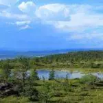 Tundra toprakları: türleri ve özellikleri, eğitim koşulları ve iyileştirilmesi gereken önlemler 13817_10