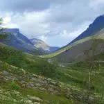 Tundra Sòls: tipus i característiques, condicions d'educació i mesures per millorar 13817_8