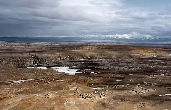 De Buedem vun der Arktis-Deserts: Aarte an hir Charakteristiken, Konditioune vun Erzéiung an Eegeschaften