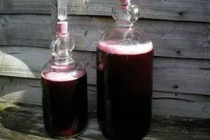 ТОП 6 рецептів приготування вина з виноградного соку і як зробити в домашніх умовах