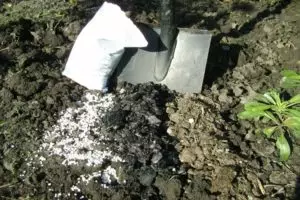 Udhëzime për përdorimin e plehut të amonit të plehut në kopsht