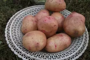 Descrizione del grado di bullfinch di patate, le peculiarità della coltivazione e della cura