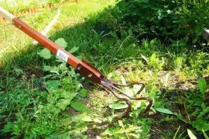 Com tractar eficaçment les males herbes, una descripció dels millors preparats i remeis populars