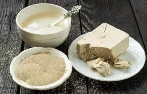 Recept za kuhanje kvasca za hranjenje i upotrebu gnojiva