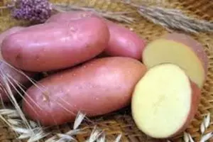 Descrición das variedades de pataca guapos, características de cultivo e coidado