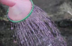 Мангакка жерди кайра иштетүү эрежелери, дезинфекциялоо үчүн кантип арылууга болот