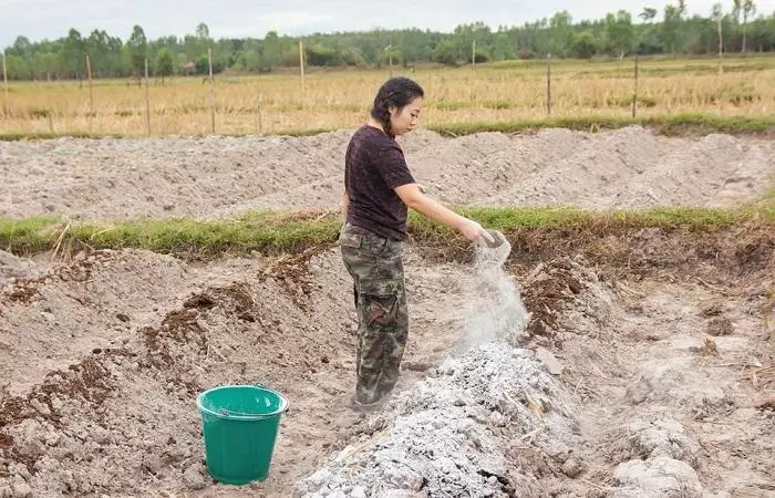 Грокукны кую.