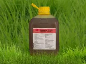 Fungicide Karamba- ի օգտագործման եւ կազմի հրահանգներ, դեղաչափեր եւ անալոգներ