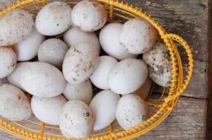 La taille des œufs de canard et les avantages et le mal au corps peuvent y avoir et dans quelle forme