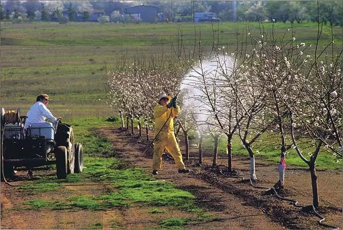 Škropljenje jabolčnih dreves