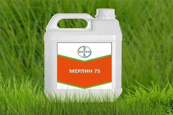 Merlin herbicid