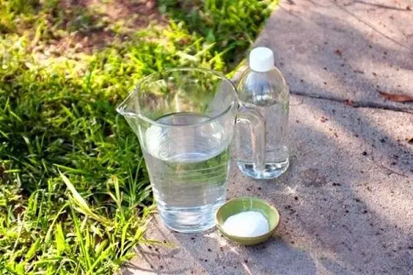 Steklenica vode