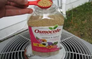 Instrucións para o uso de Osmocoty e composición de fertilizantes, dosificación e análogos