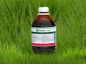 Pokyny pro použití herbicide Galley, mechanismus účinku a míry spotřeby